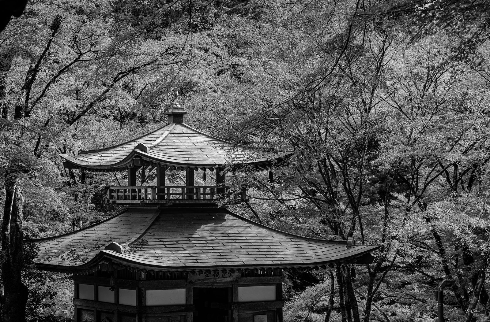 NENBUTSU | Lurra Fine Art